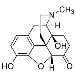 Oxymorphone, 1.0 mg/mL