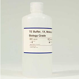 TE Buffer, 1X, Molecular Biology Grade, 100mL